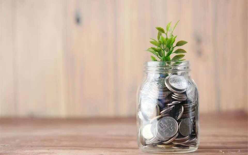 How To Organize Your Financial Life Without Feeling Overwhelmed ...